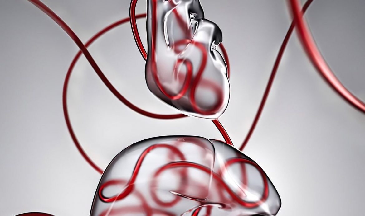 Scientists are trying to resurrect mostly dead organs—here’s why ...